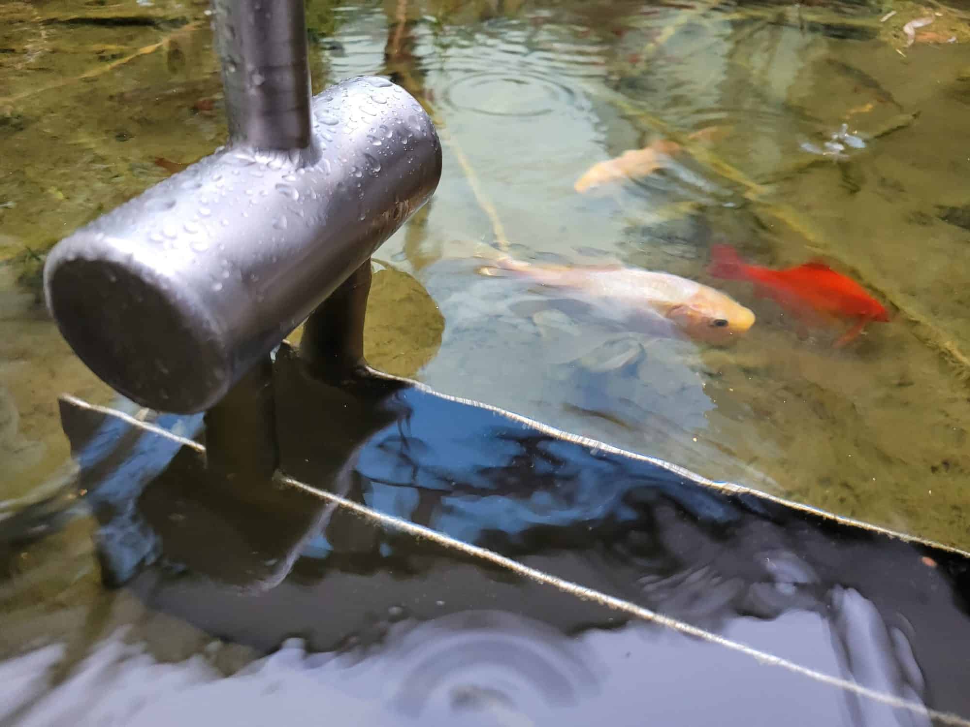 Controlling the temperature range in fish farming with heat exchangers ...